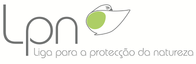 Tagging vultures: Why swift field response is essential to save birds ...