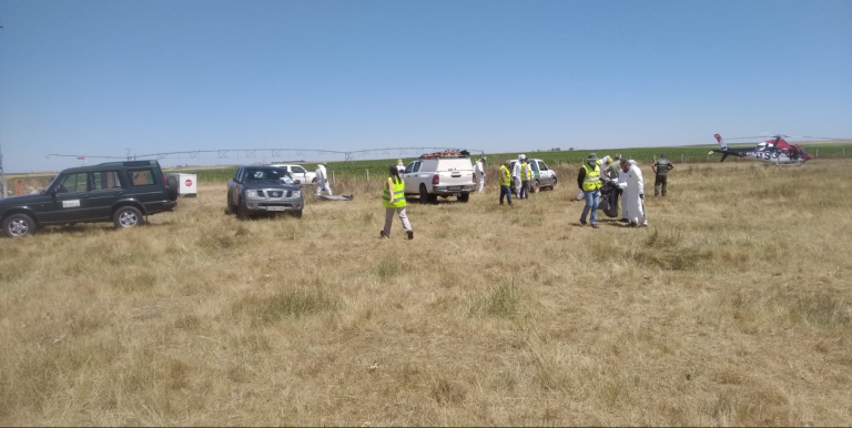 DEAD OR DYING: Nearly 100 vultures fall victim to suspected mass ...