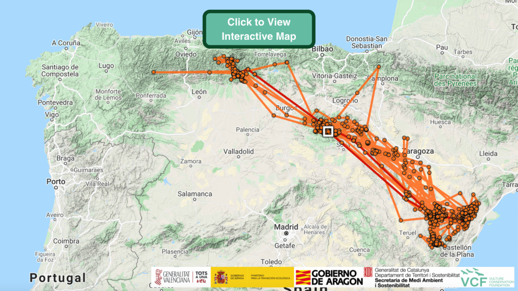 Bearded Vulture Maps - Vulture Conservation Foundation