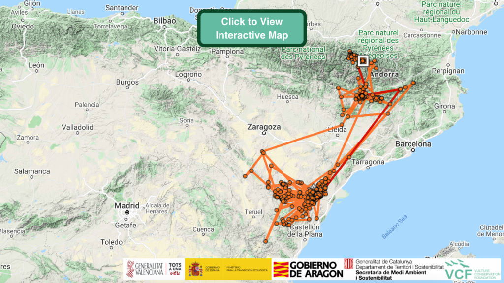 Bearded Vulture Maps - Vulture Conservation Foundation
