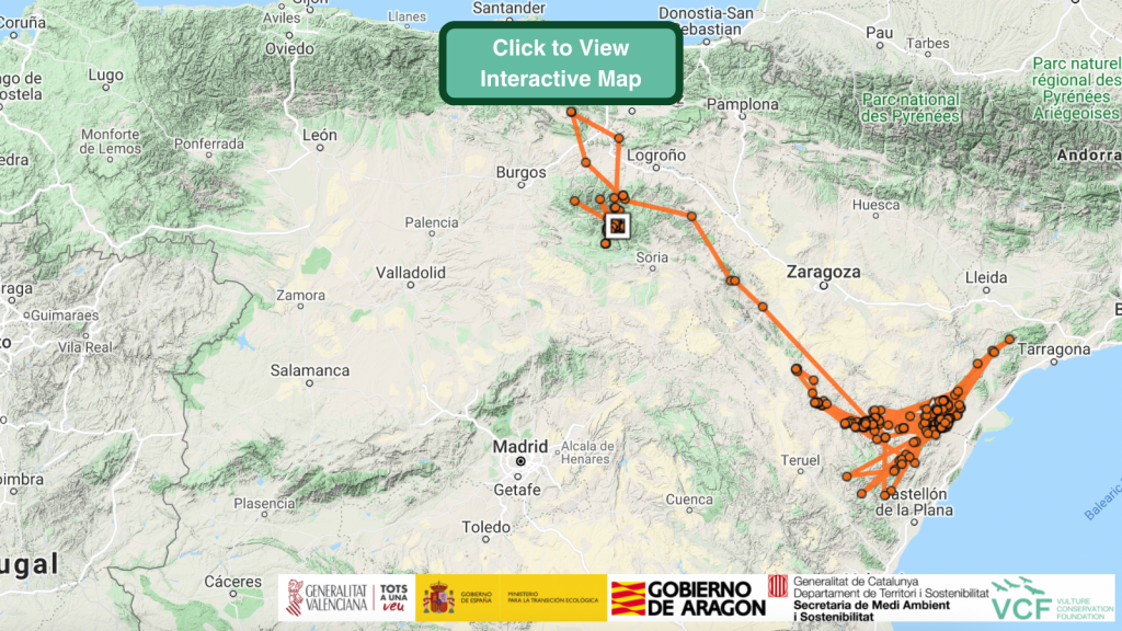 Bearded Vulture Maps - Vulture Conservation Foundation