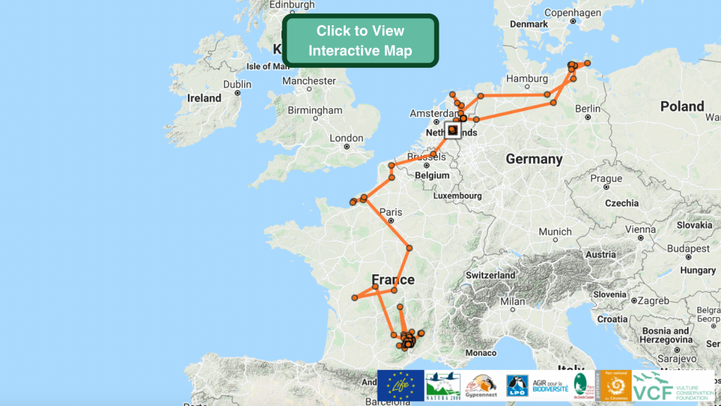 Bearded Vulture Maps - Vulture Conservation Foundation