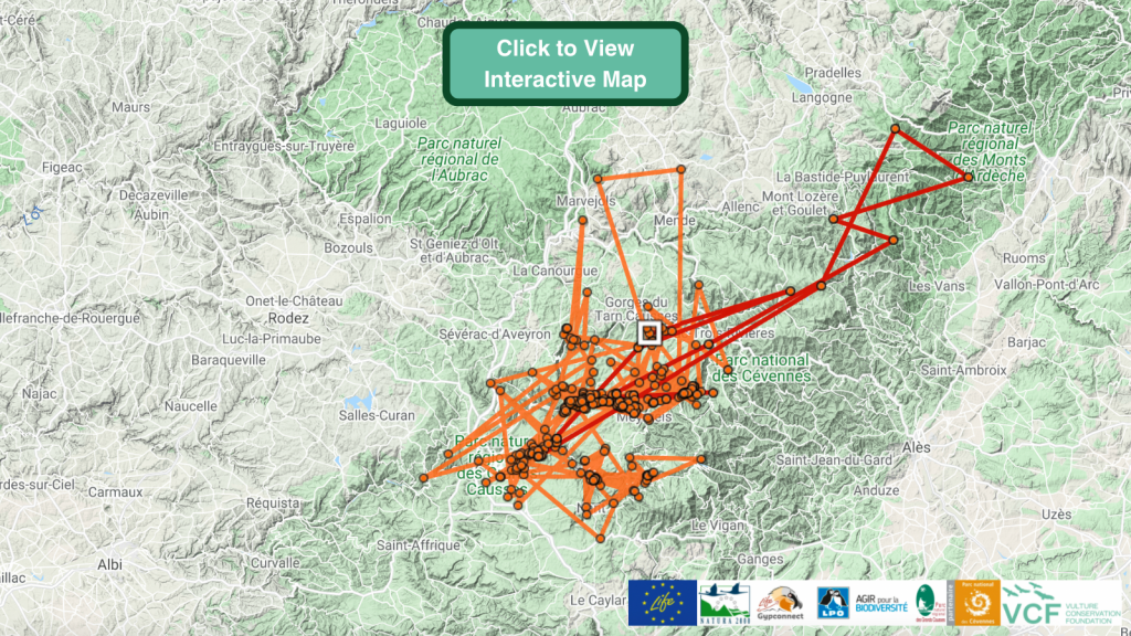 Bearded Vulture Maps - Vulture Conservation Foundation
