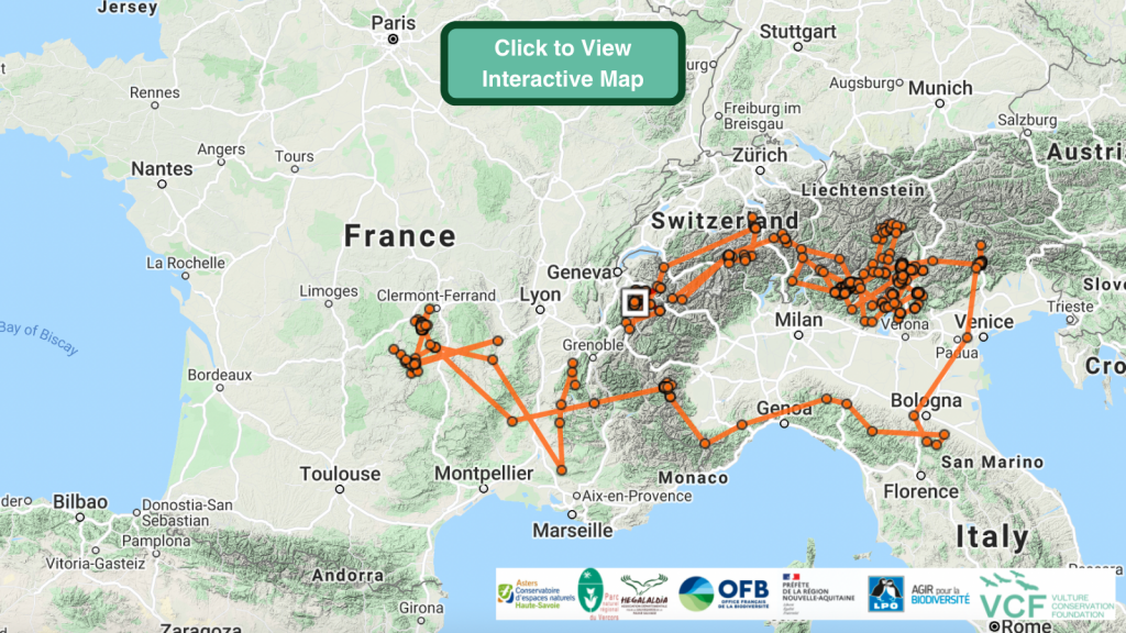 Bearded Vulture Maps - Vulture Conservation Foundation