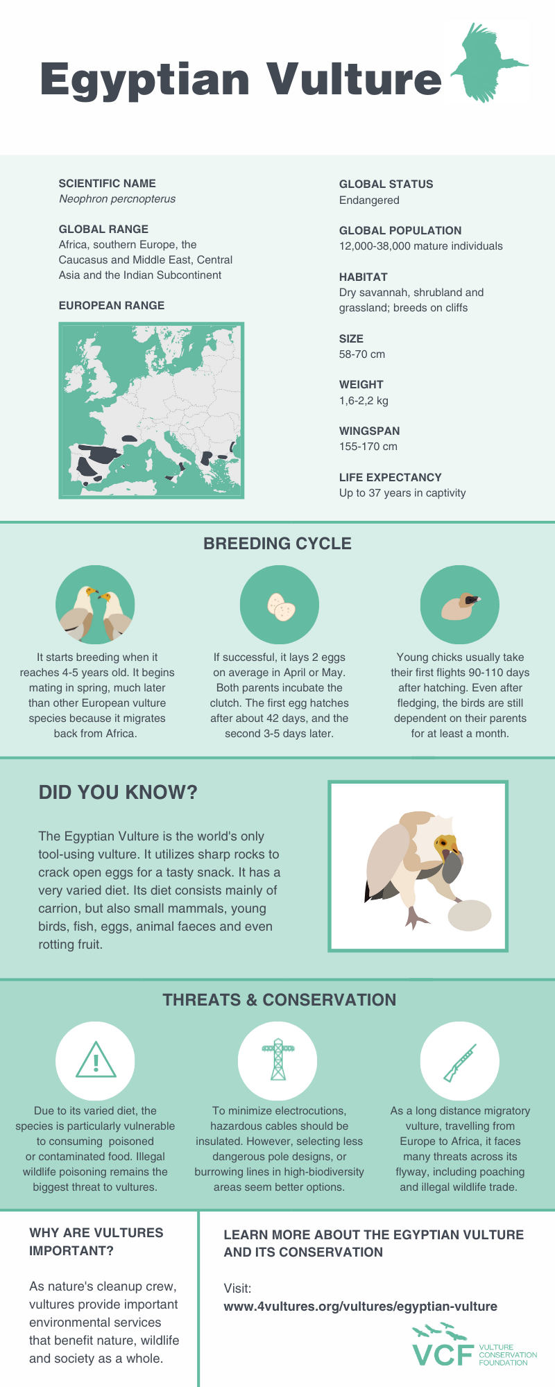 International Vulture Awareness Day 2021 is two weeks away - Vulture ...