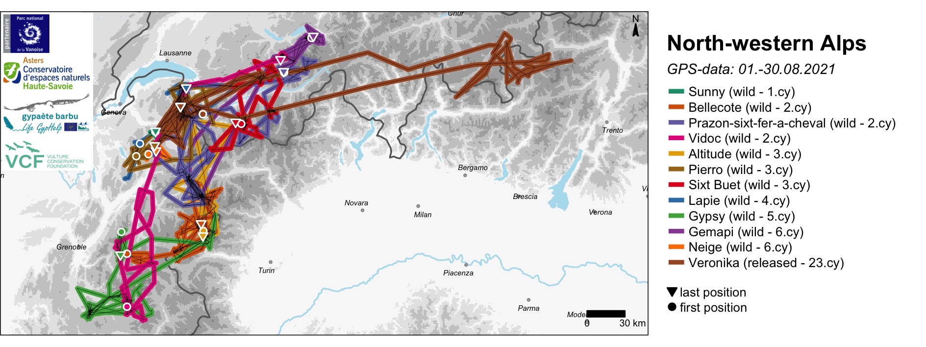 Most recent Bearded Vulture GPS movements of 60 individuals across ...