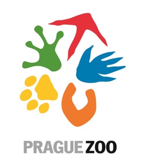 The Cinereous Vulture Captive Breeding Network (EEP) produced positive ...