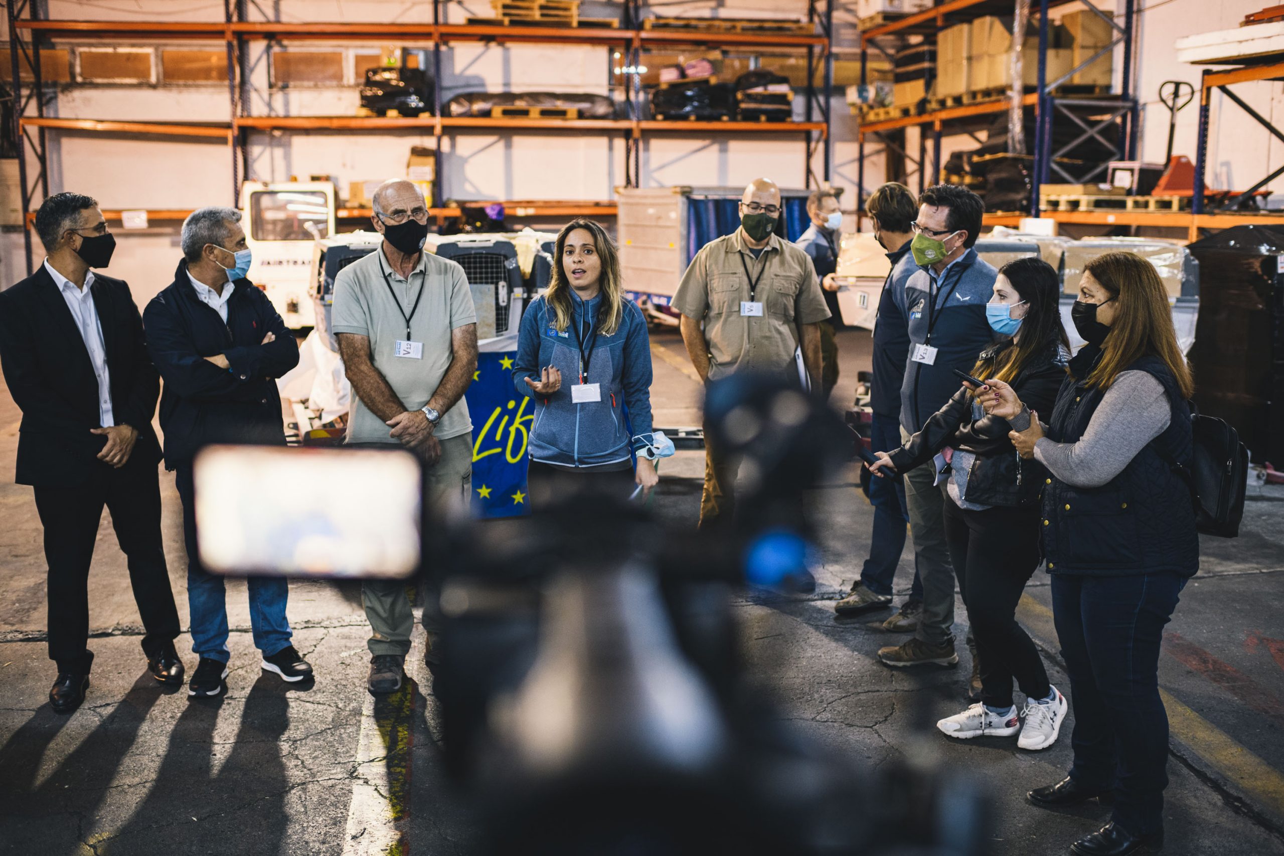 The first Spanish Griffon Vultures are arriving in Cyprus - Vulture ...