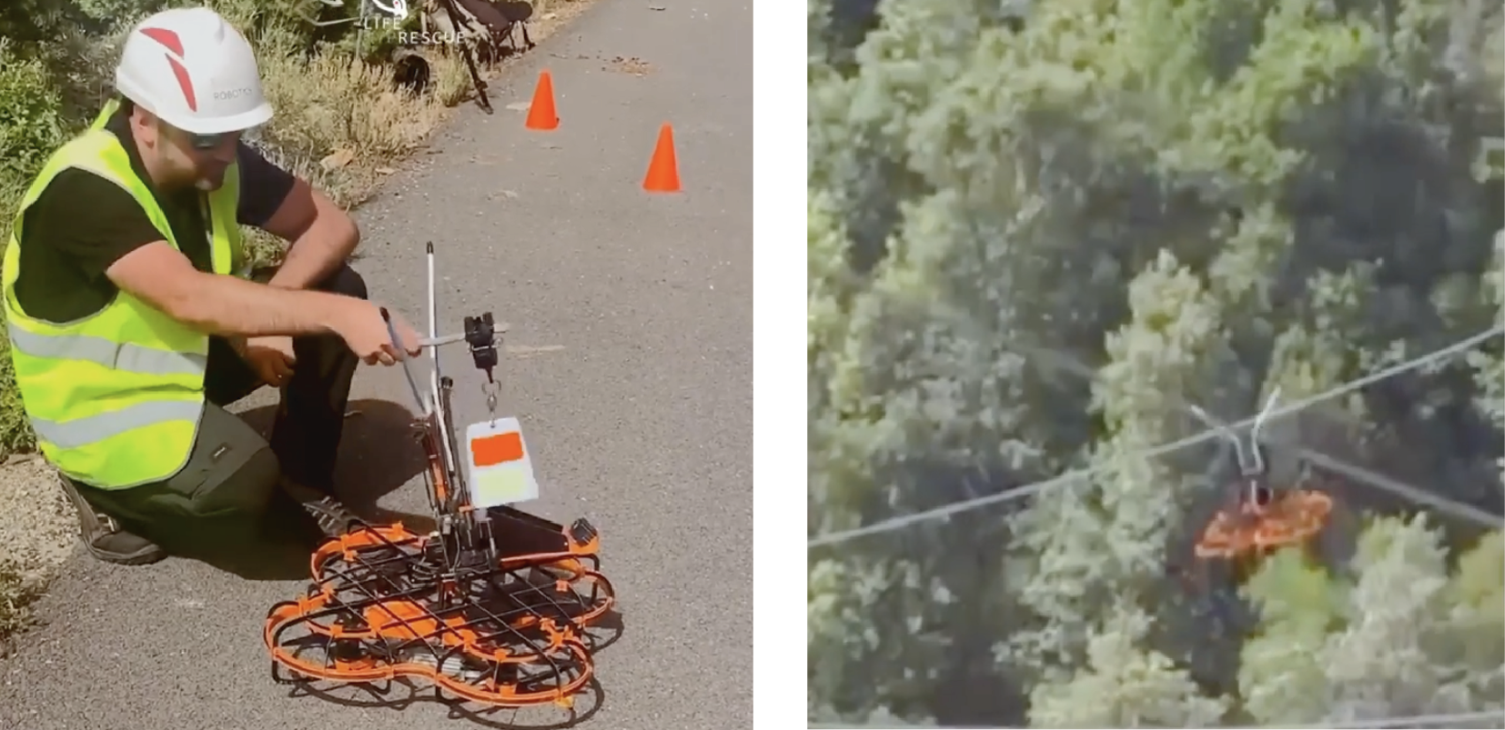 Best practices for mitigating electrocution and collision risk ...