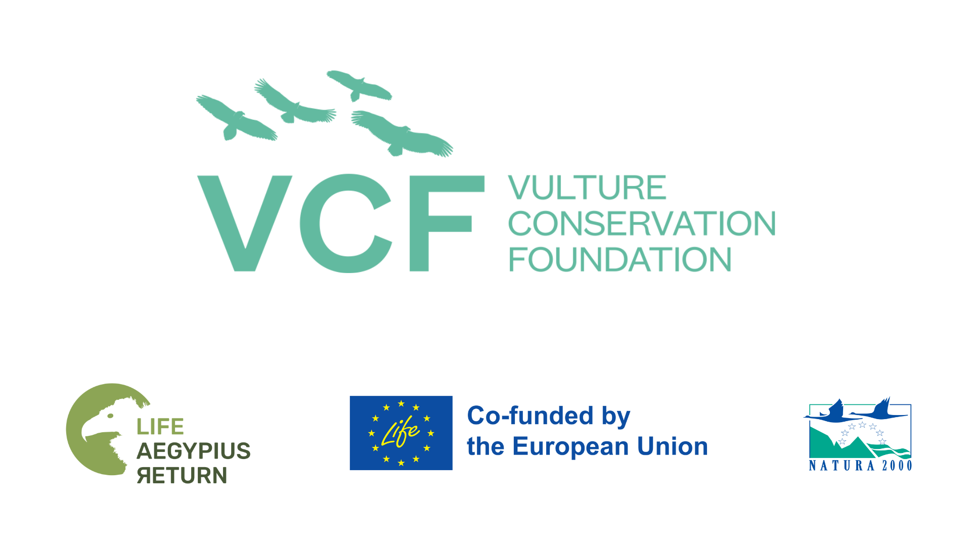 New dates for the European Vulture Conference 2023 - Vulture ...