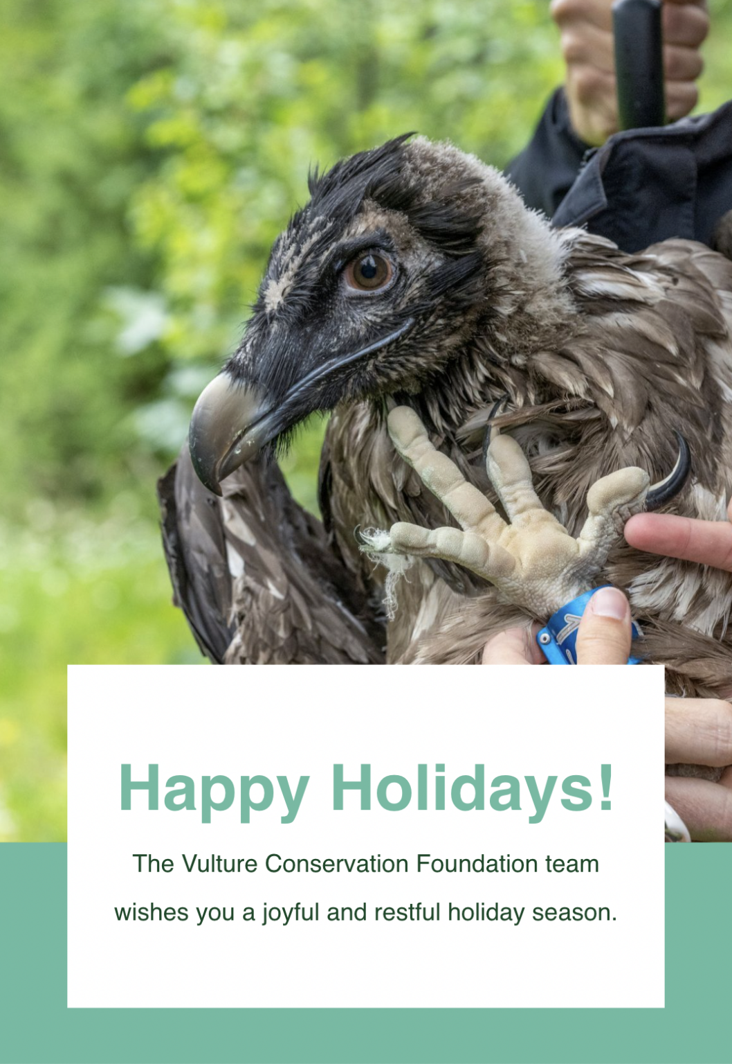Vulture conservation achievements 2022 - Vulture Conservation Foundation