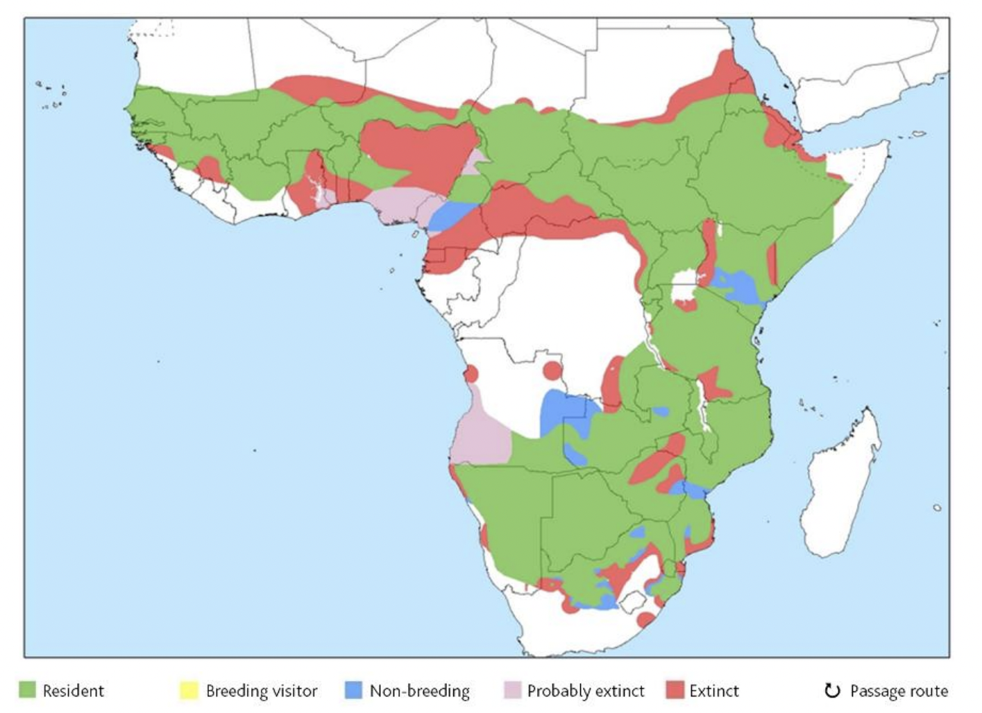 GPS-tagged African White-backed Vulture vastly explores the Iberian ...