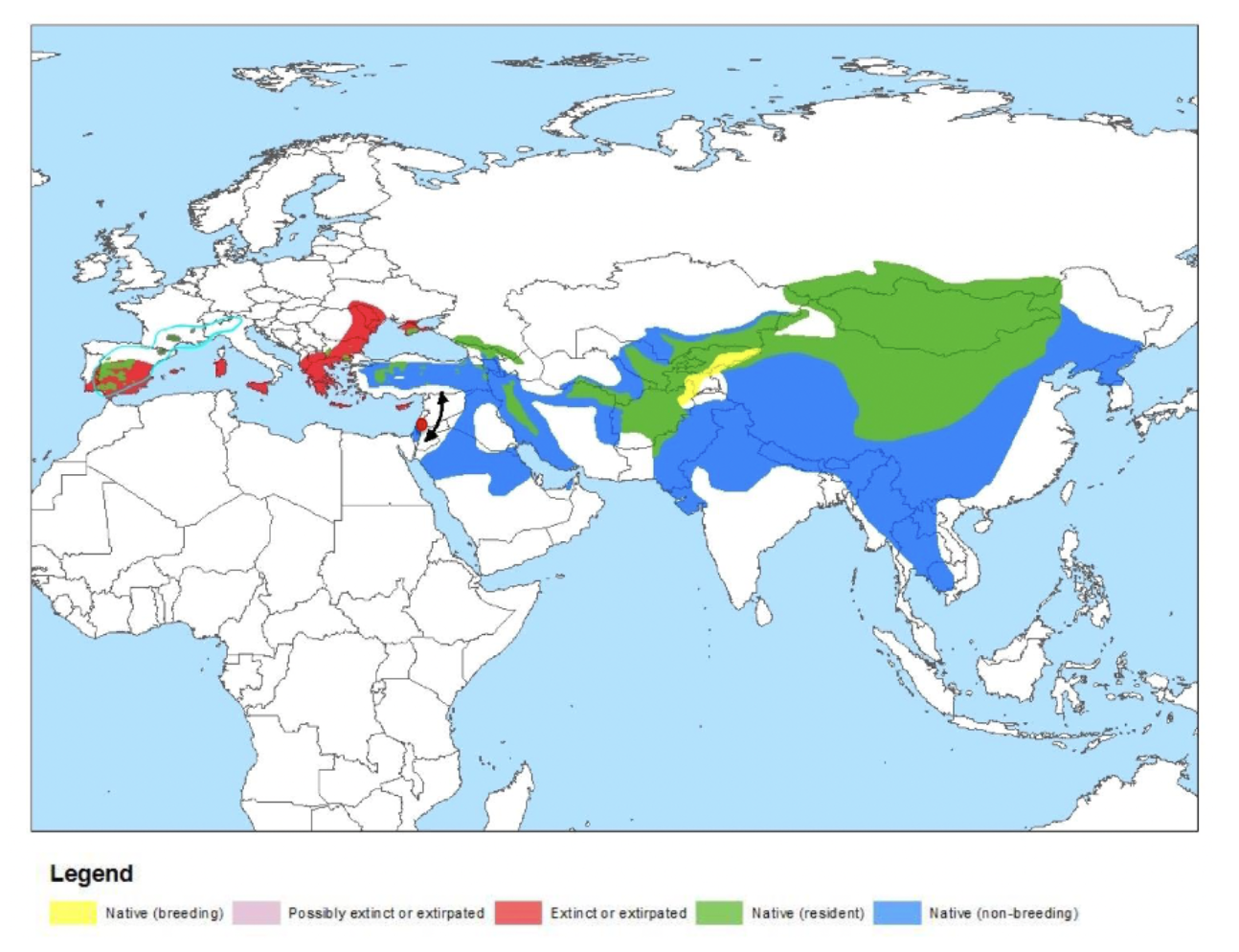 Back from extinction: First results from the Cinereous Vulture ...