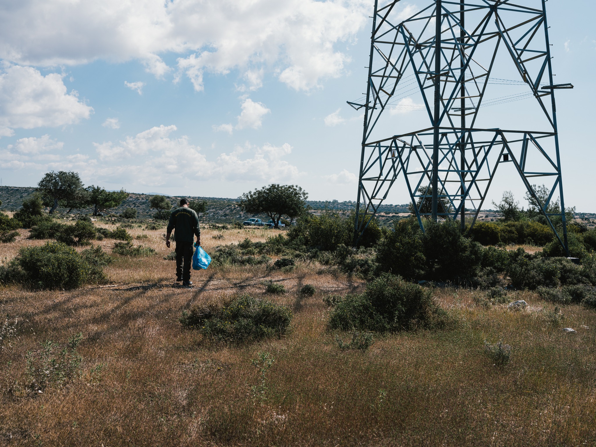 Collision with power line takes the life of a Spanish Griffon Vulture ...