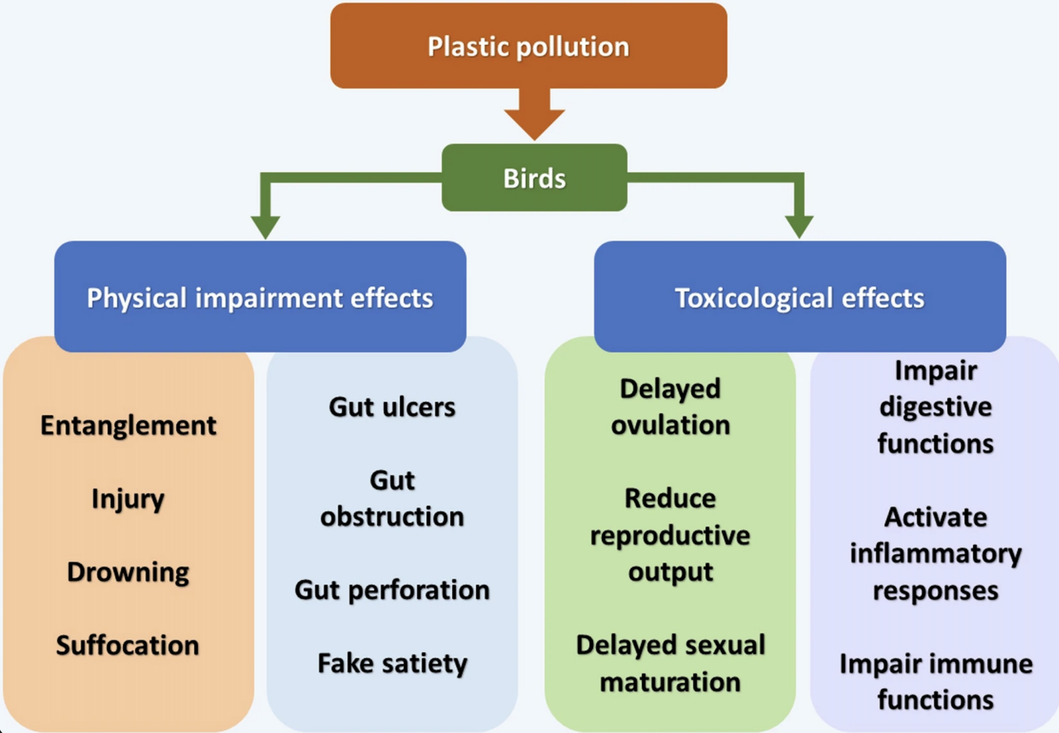 World Environment Day: Tackling poison and pollutants that affect ...