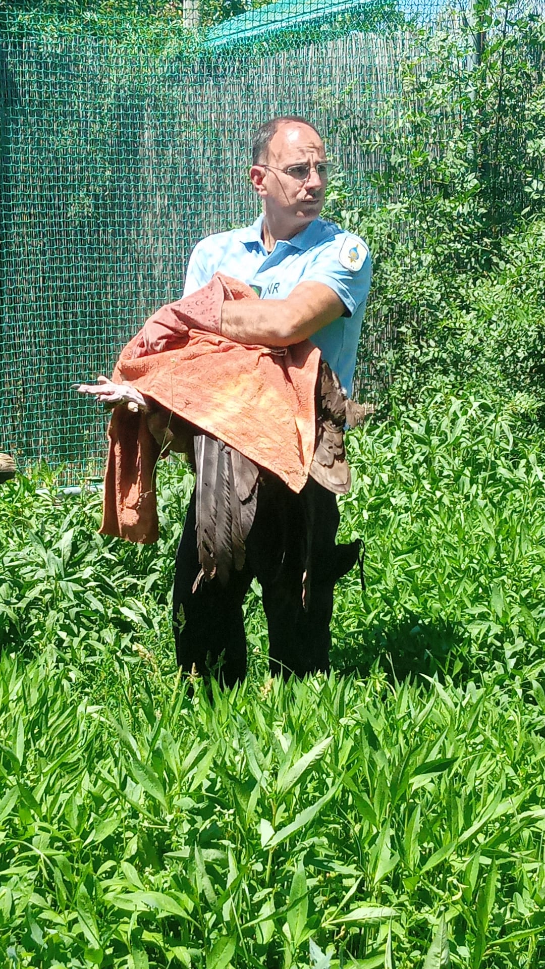 Training police officers in Portugal on rescuing and handling Cinereous Vultures – LIFE Aegypius ...