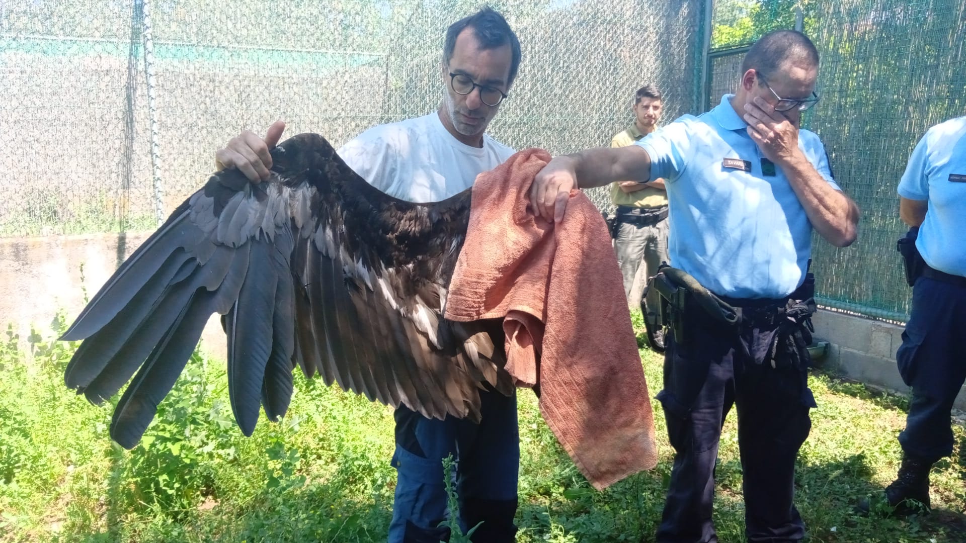 Training police officers in Portugal on rescuing and handling Cinereous Vultures – LIFE Aegypius ...