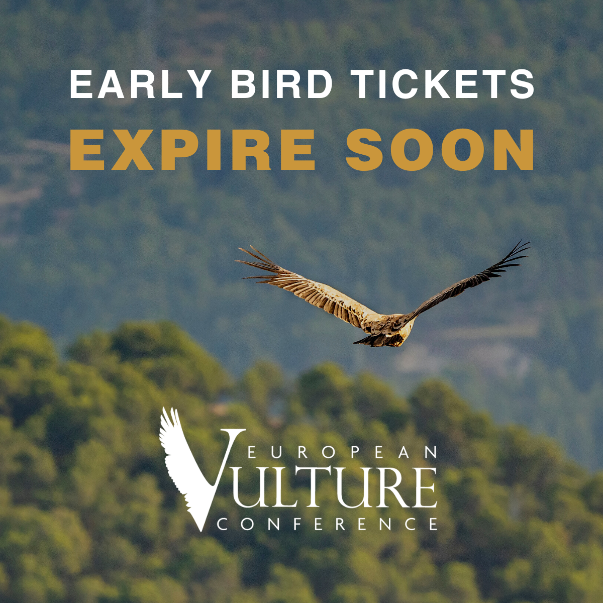 Last chance for early bird registration: Join us at the European ...