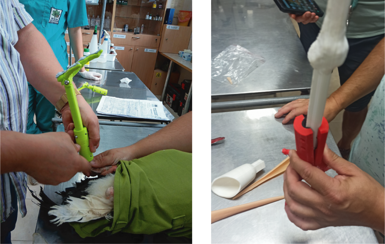 3D-printed prosthetic legs to rehabilitate “irreparable” bird injuries ...