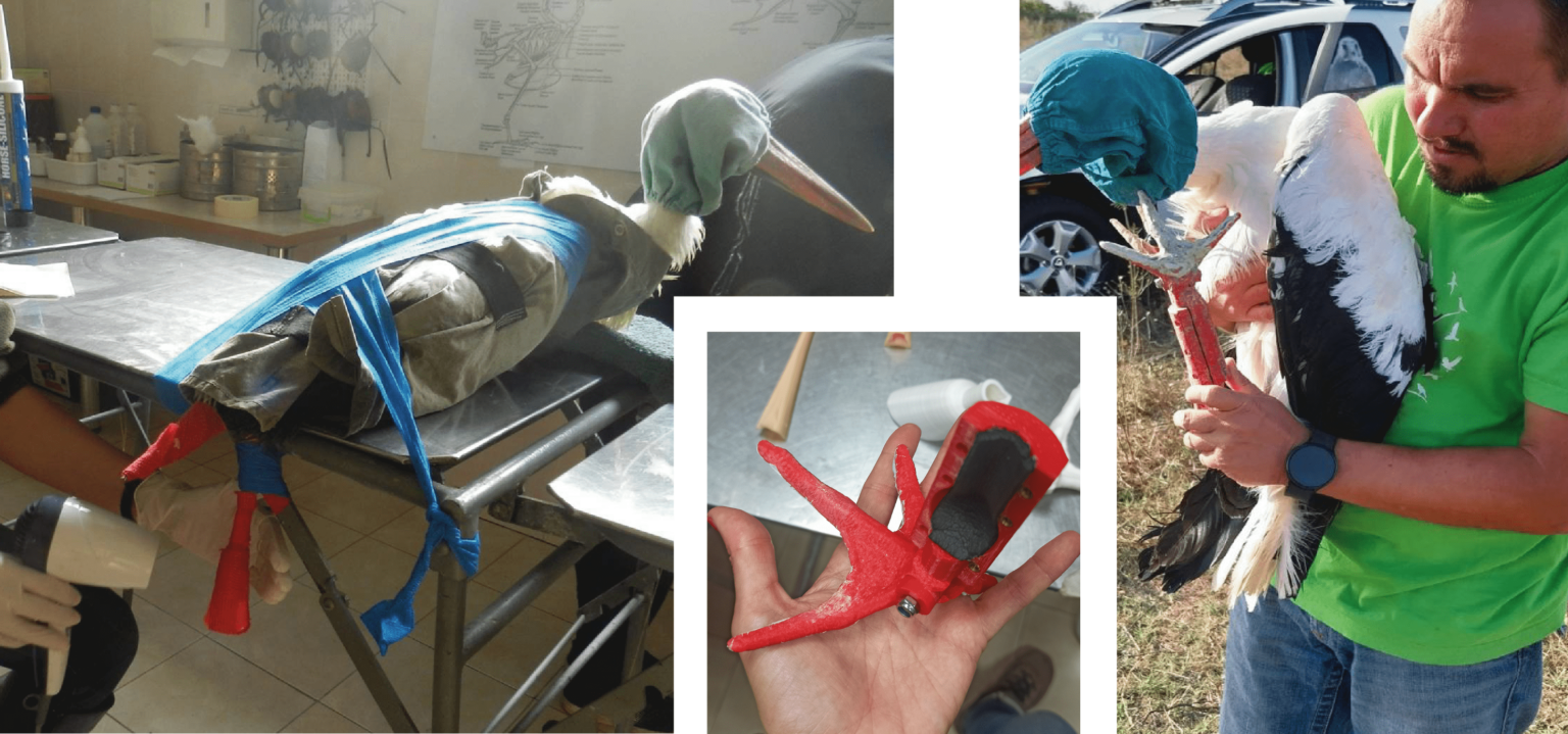 3D-printed prosthetic legs to rehabilitate “irreparable” bird injuries ...