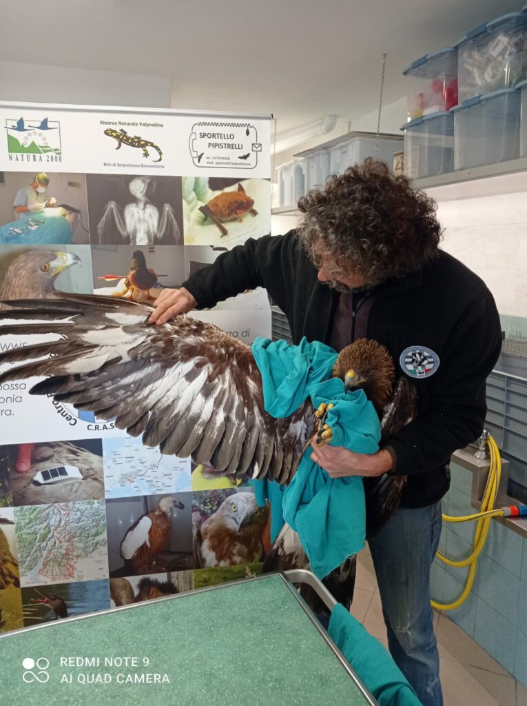 Day 1 insights from the European Vulture Conference 2023 - Vulture ...