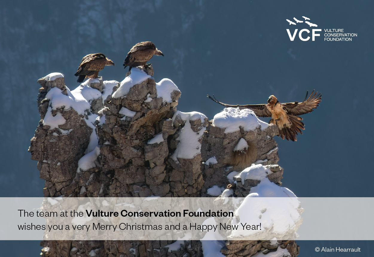 2023 in review: our work 4 Vultures - Vulture Conservation Foundation