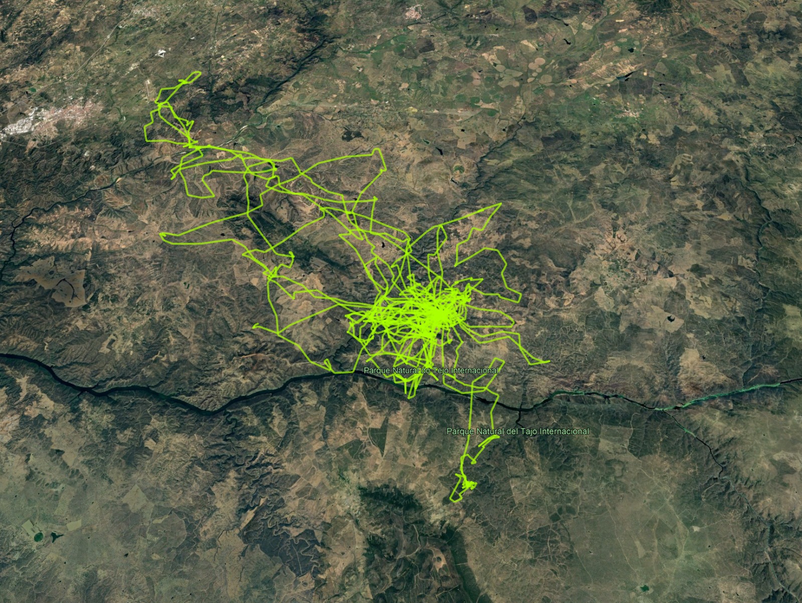 “Zeal and great determination”: the incredible story of the first ...