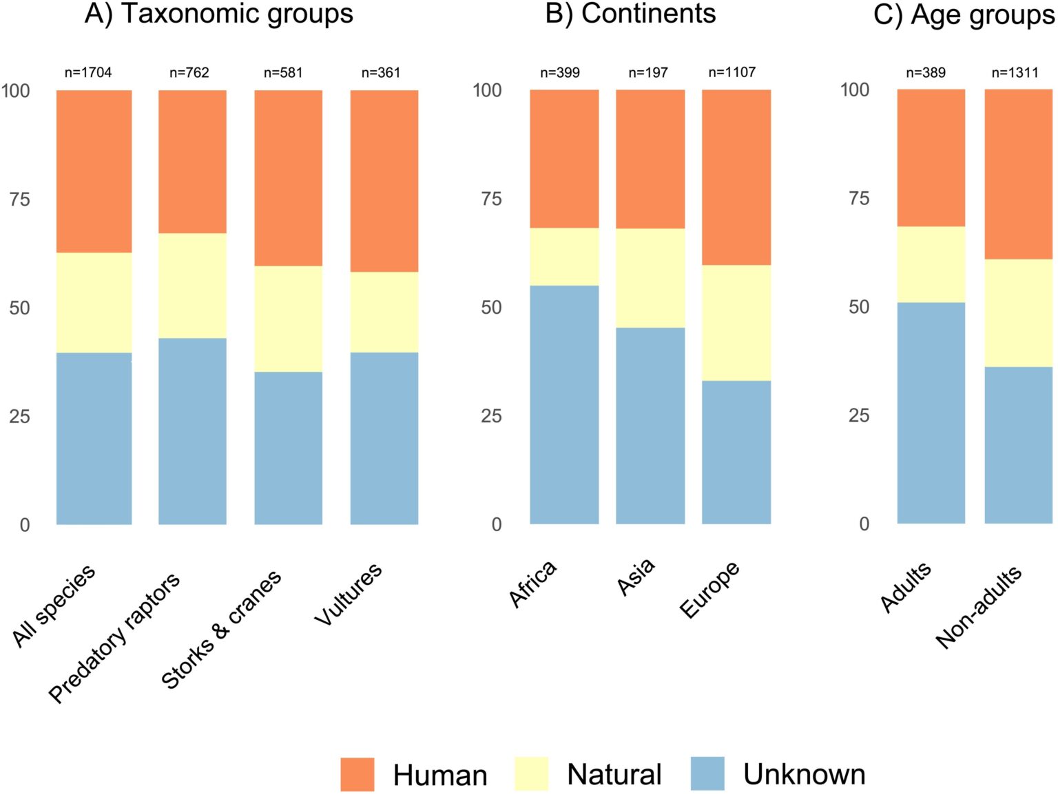 Why do vultures and other large migratory birds die? - Vulture ...