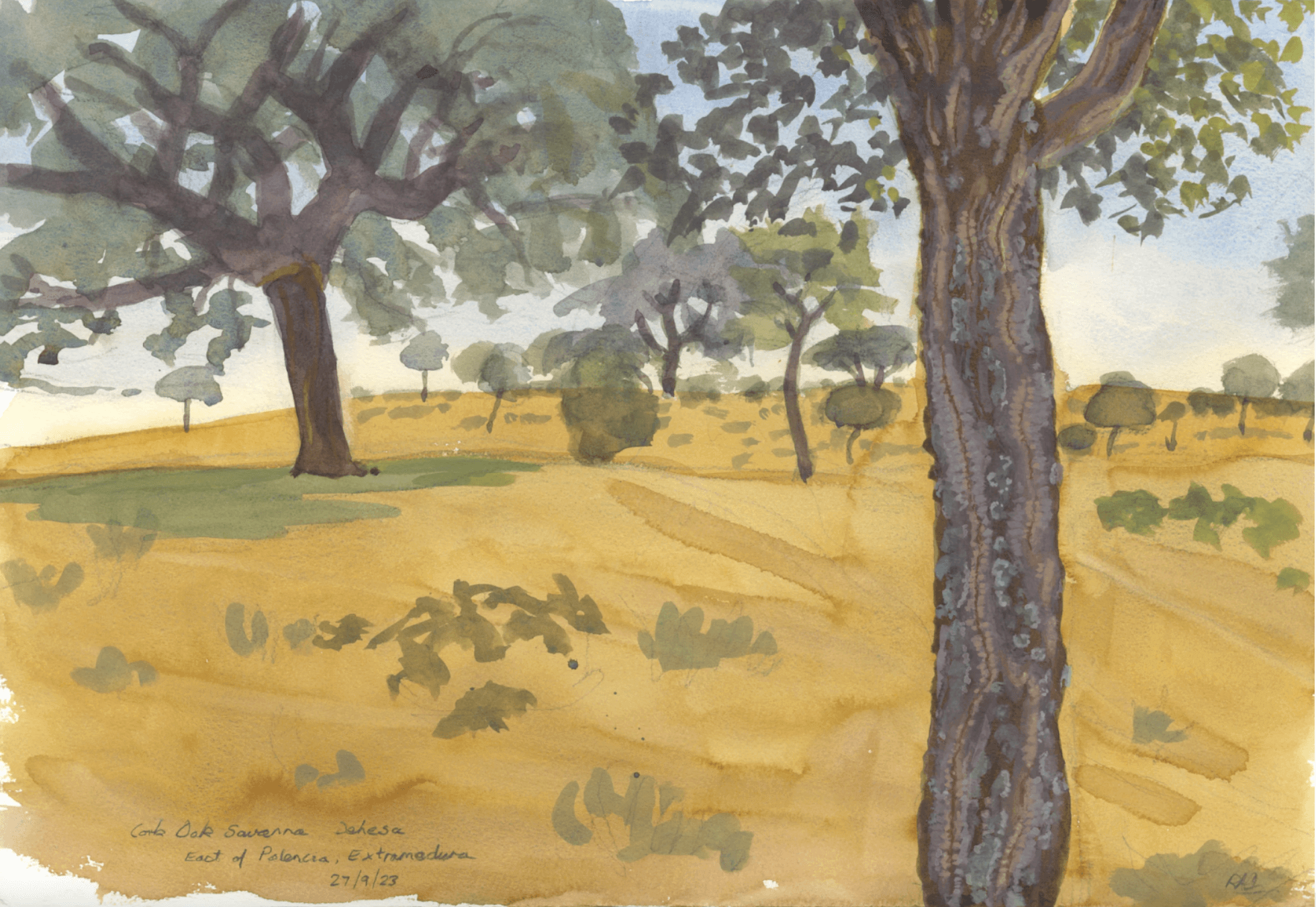 A Visual journey through the Cork Oak Savannas shows the special ...