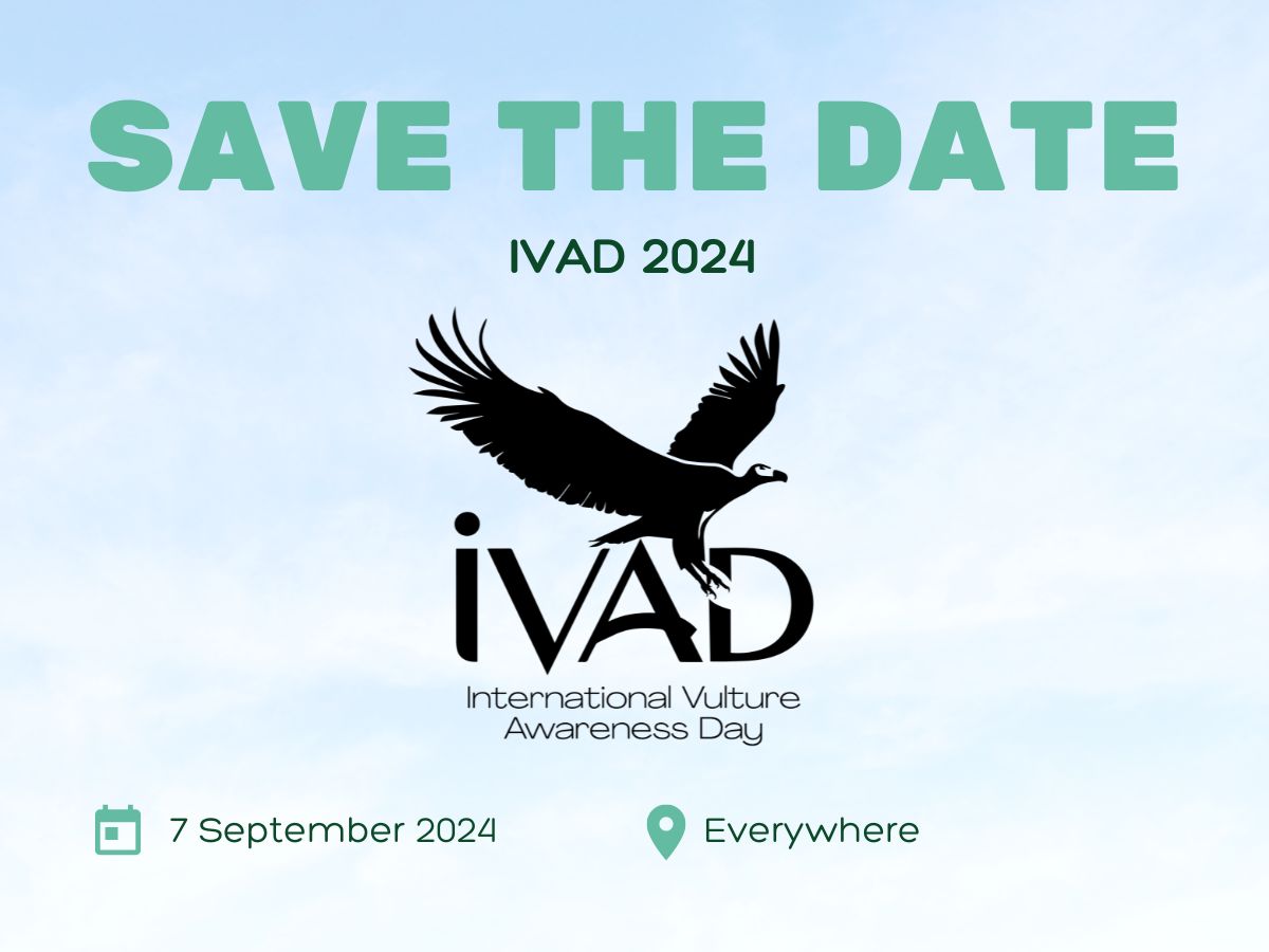 Join us for International Vulture Awareness Day (IVAD) 2024 - Vulture ...