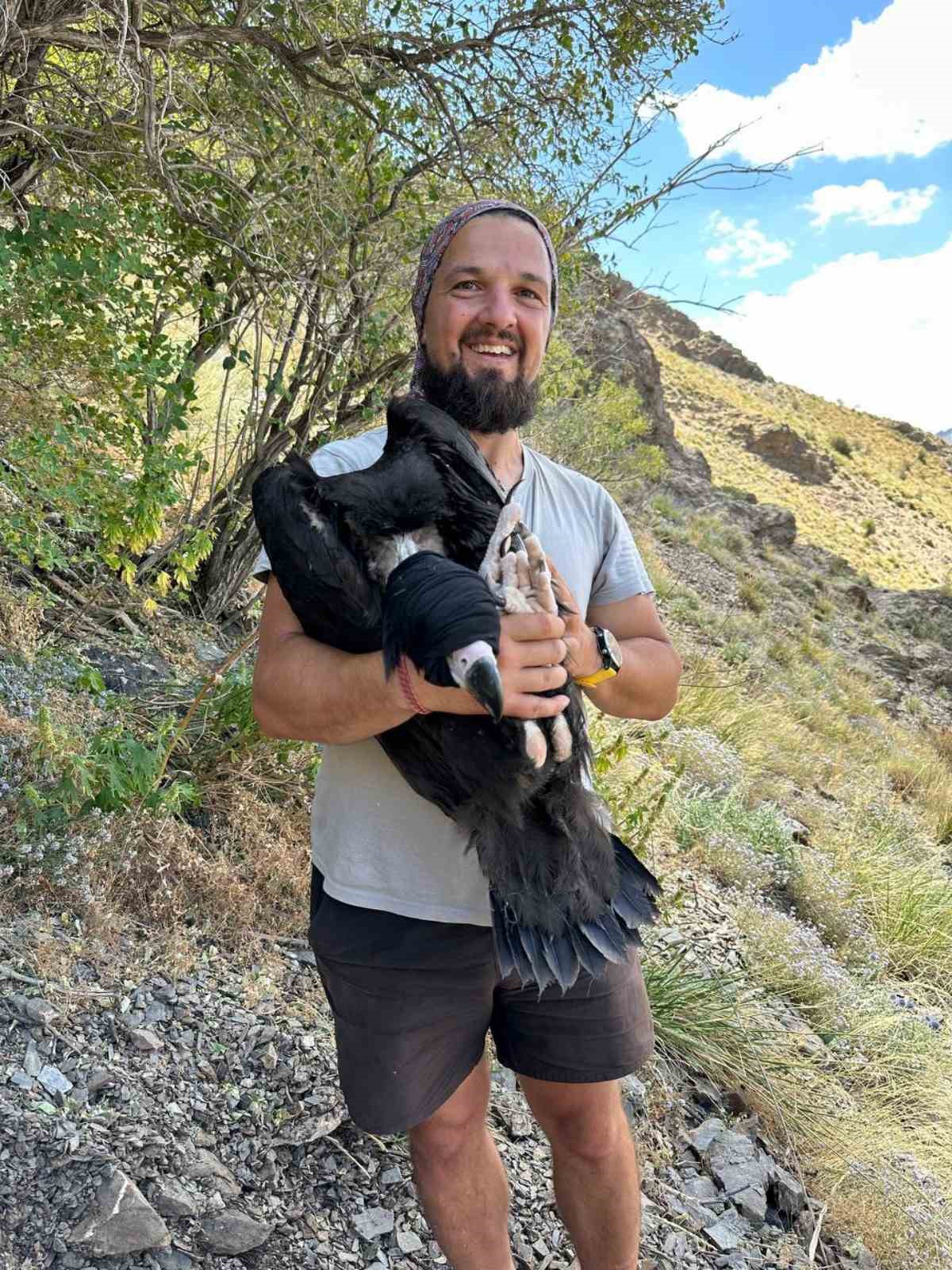 Juvenile Cinereous Vultures tagged in Central Asia for the first time - Vulture Conservation ...