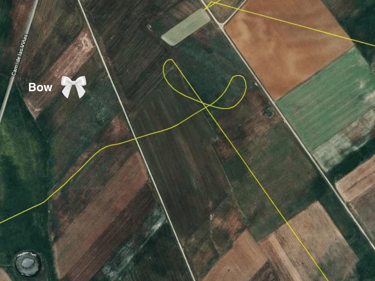 When vultures doodle: Raia's GPS flight path art - Vulture Conservation ...