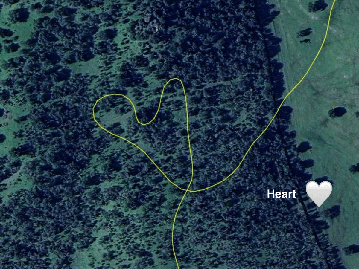 When vultures doodle: Raia's GPS flight path art - Vulture Conservation ...