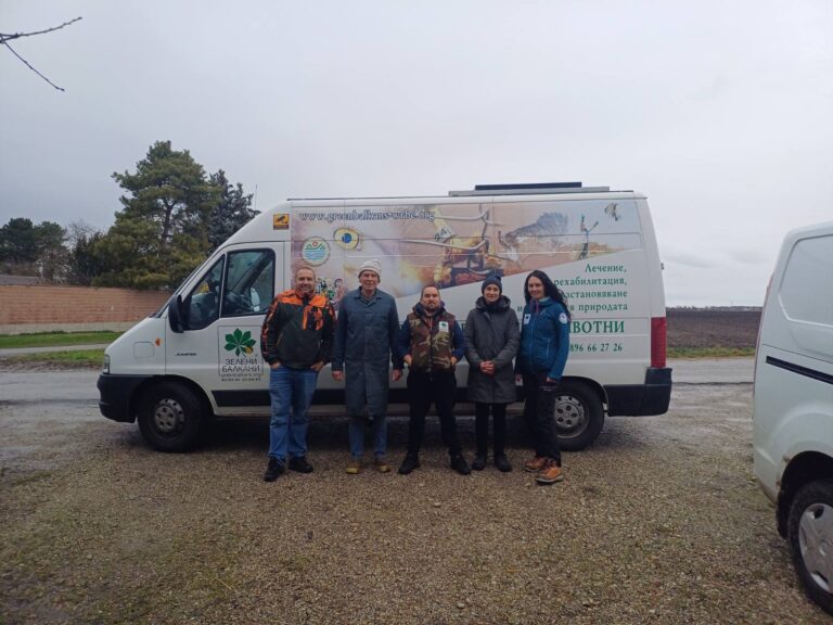 The long-awaited new pair arrives at the Green Balkans Bearded Vulture ...
