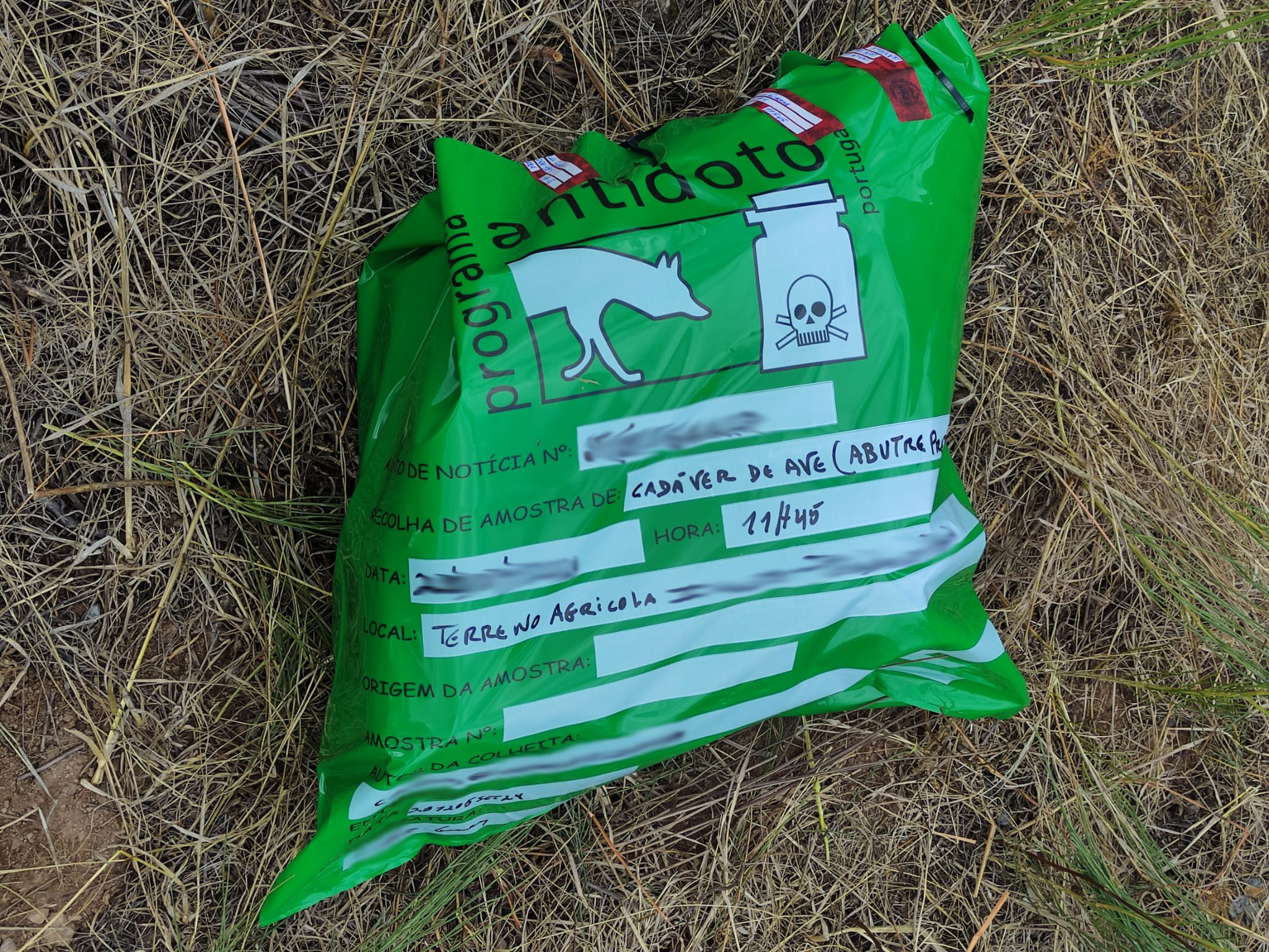 A world of threats and how to mitigate them - Vulture Conservation ...