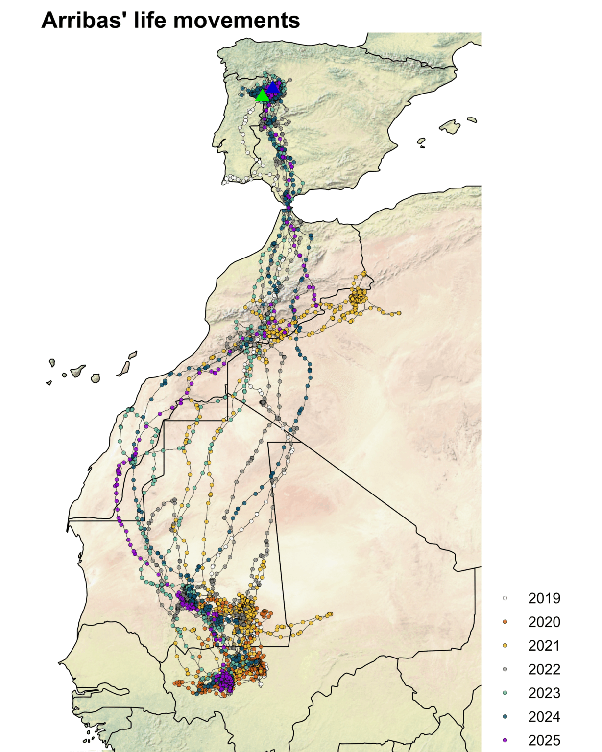 Six years of GPS tracking Egyptian Vultures Fangueiro and Arribas ...