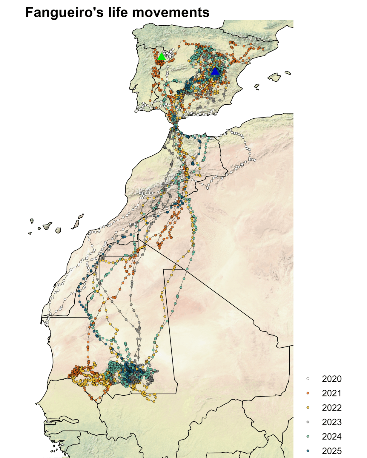 Six years of GPS tracking Egyptian Vultures Fangueiro and Arribas ...