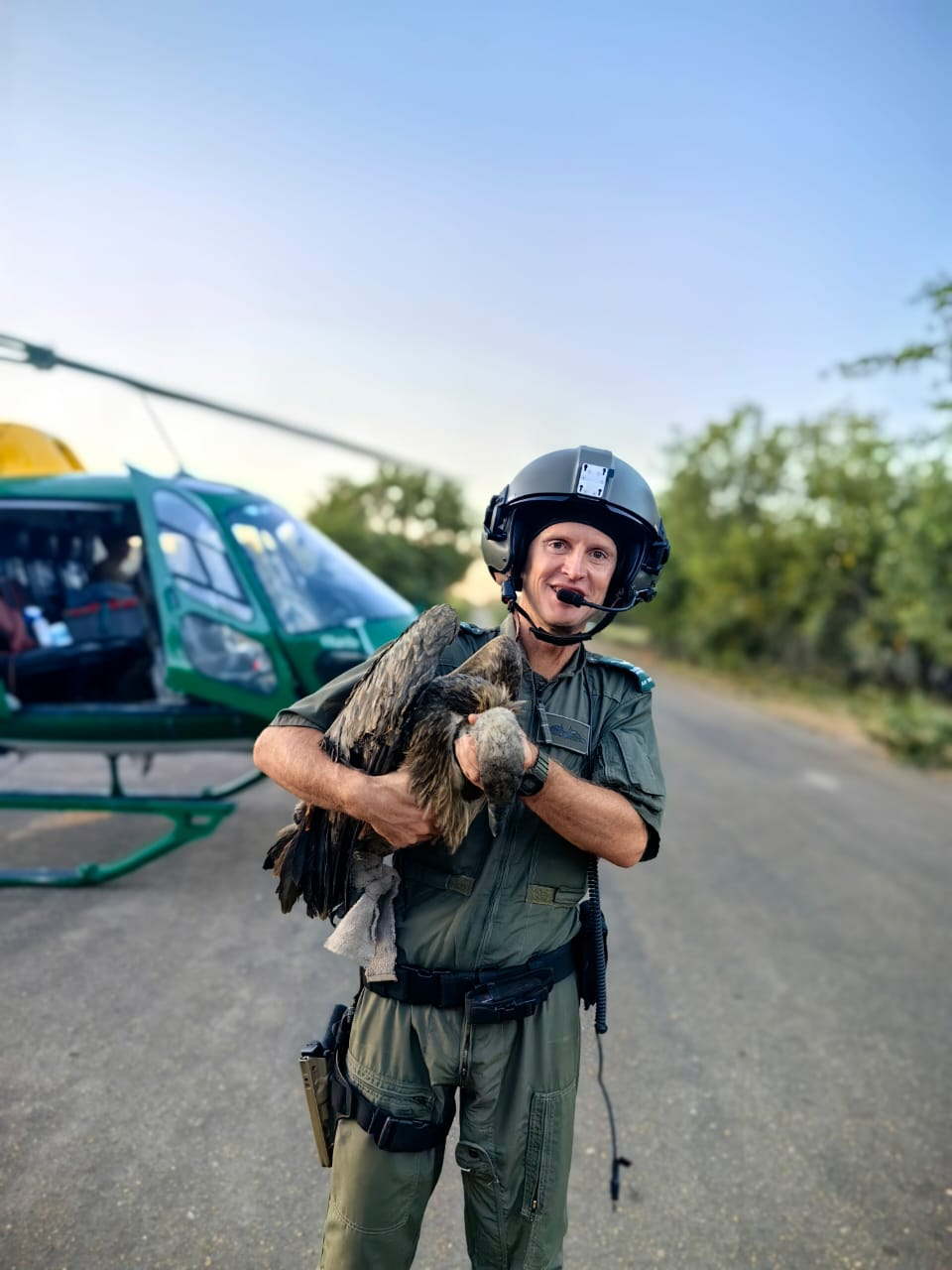 A devastating mass vulture poisoning in Kruger National Park - Vulture ...