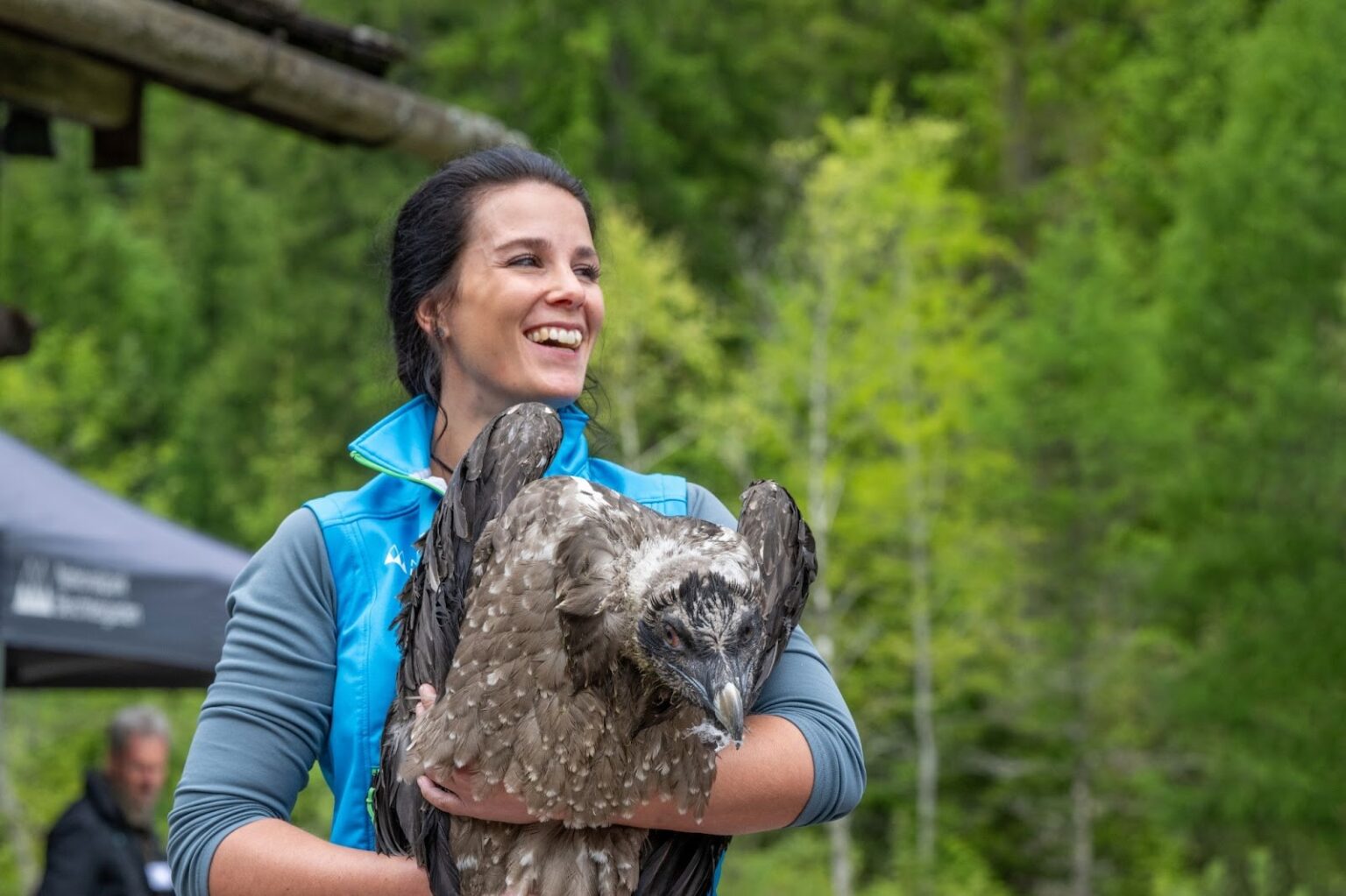 Bearded Vultures “Generl” and “Luisa” were released into the wild in ...